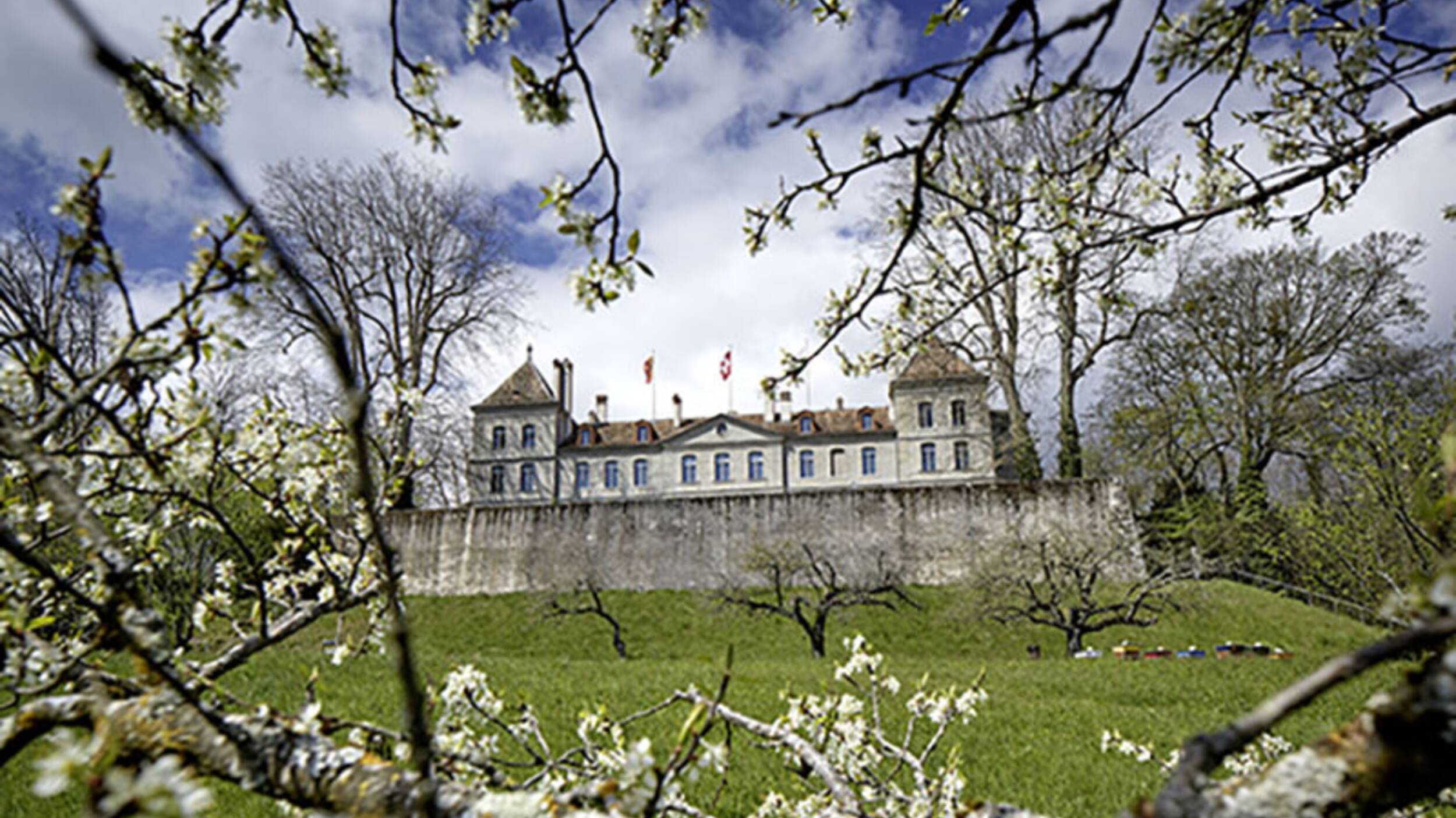 International Museum Day