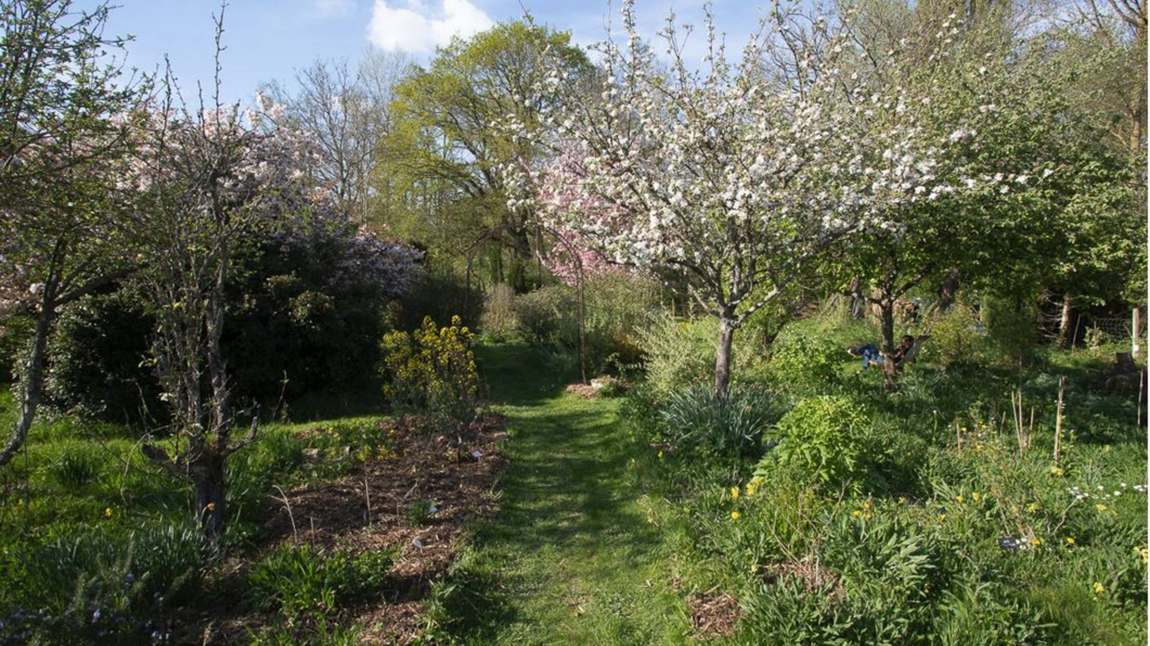 Visite guidée - Du Potager du 18e siècle au Jardin-Forêt d’aujourd’hui