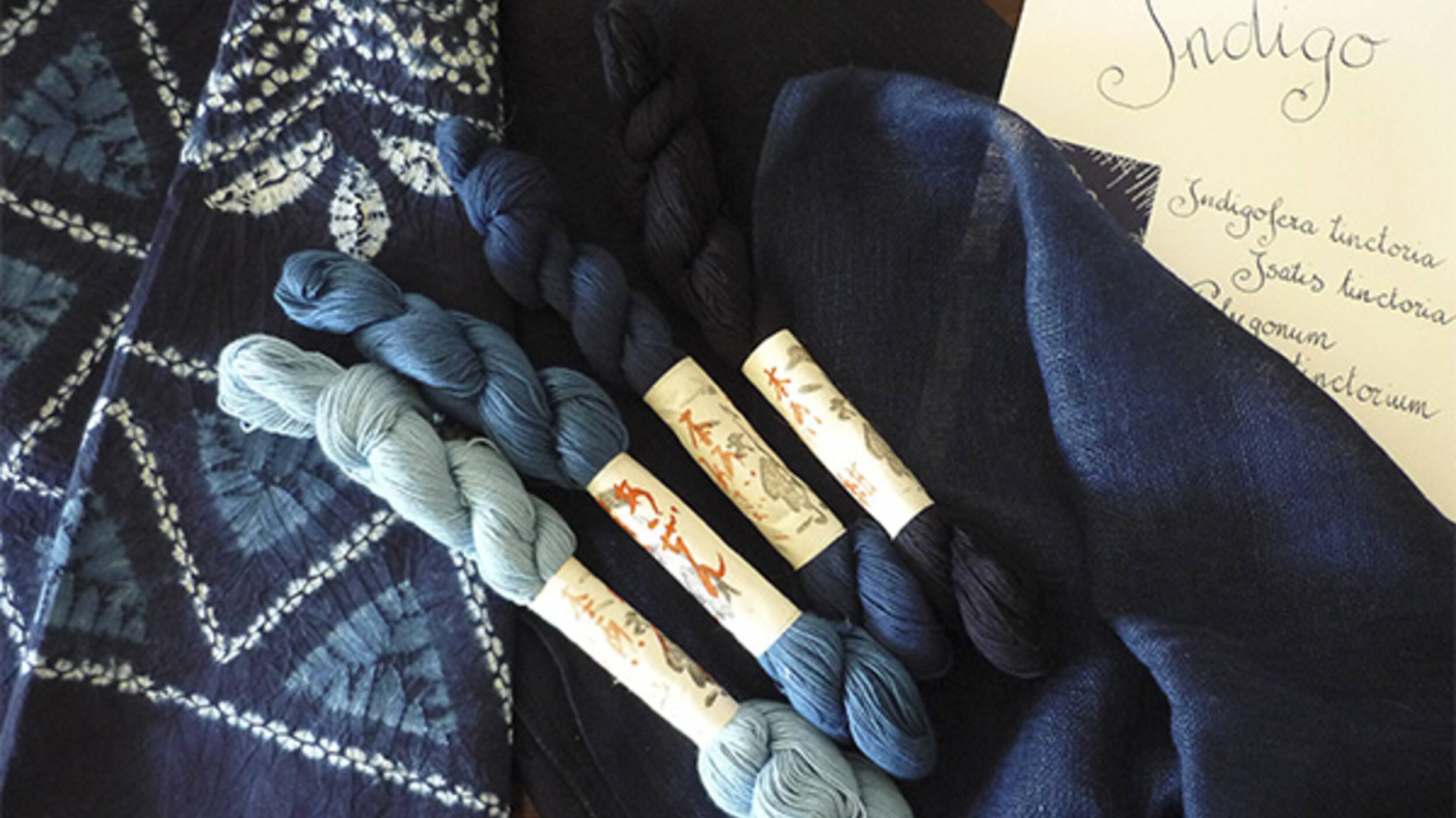 The magic of blue with various indigo plants